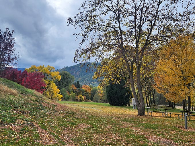 Fall's grand finale at Valley of the Rogue State Park. Nature's paintbrush turns every tree into a masterpiece worth framing.