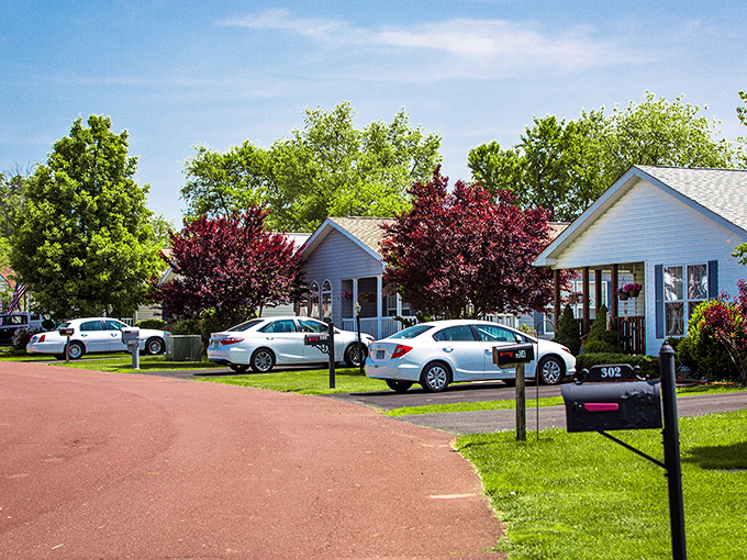 Charming cottages line this peaceful street at Village of Willow Run, where neighbors actually know each other's names. Retirement paradise without the tropical price tag!