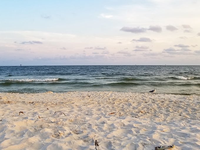Where the sand stretches for miles and seagulls outnumber people. Nature's version of social distancing!
