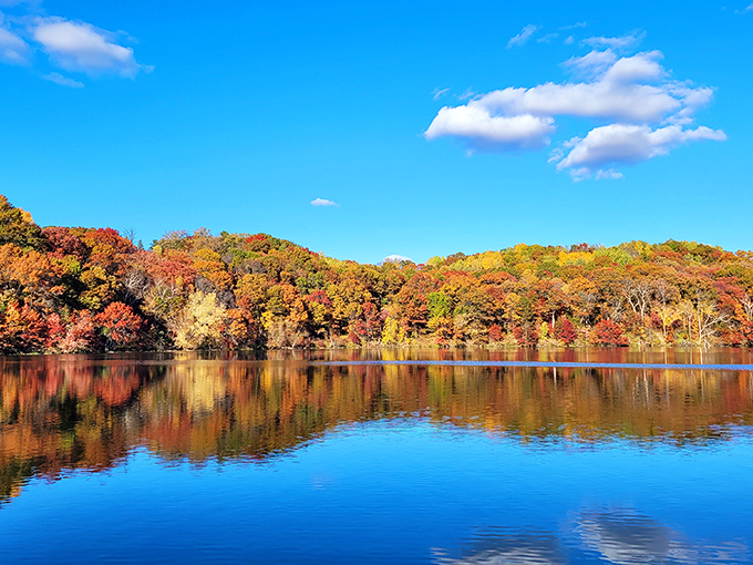 Fall colors paint Willow River State Park like nature's own masterpiece, reflecting perfectly in the glassy waters below.