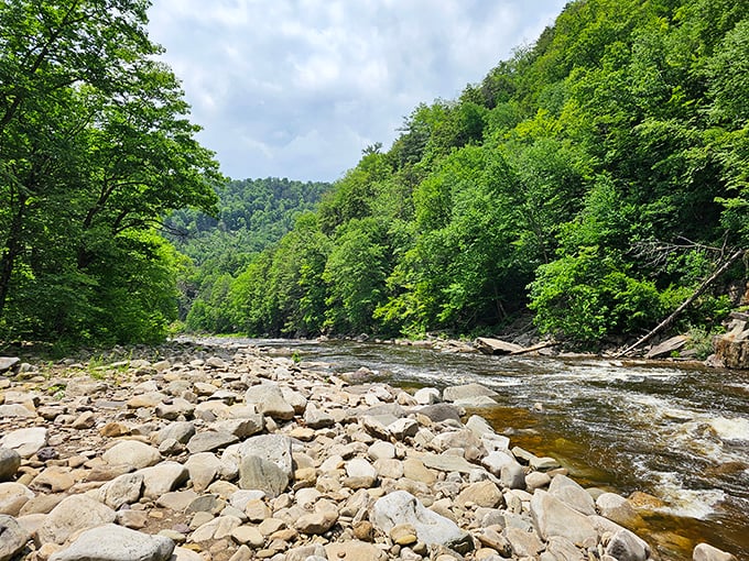 Loyalsock Creek winds through Worlds End like nature's own lazy river. The perfect spot for rock-hopping adventures or contemplative moments.