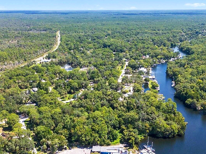 Waterways weaving through lush greenery – nature's version of Florida streets where manatees replace morning traffic.