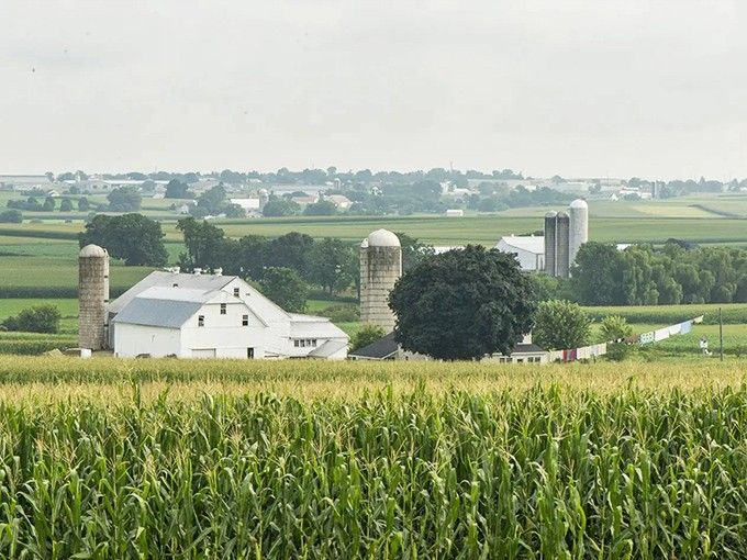 Rolling green fields stretch endlessly, where time moves at the gentle pace of horse hooves on pavement.