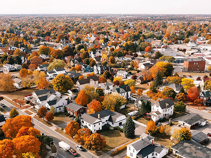 Fall's fiery palette transforms Alpena into a budget-friendly wonderland, proving the best views in Michigan don't come with a premium price tag.