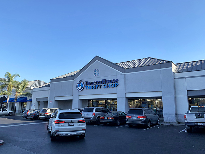 Palm trees and promise! This clean storefront hides treasures waiting to be discovered by savvy shoppers.