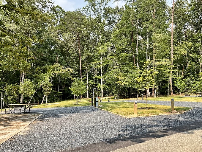Picnic paradise! This gravel campsite clearing offers a front-row seat to Virginia's greatest show: the great outdoors.
