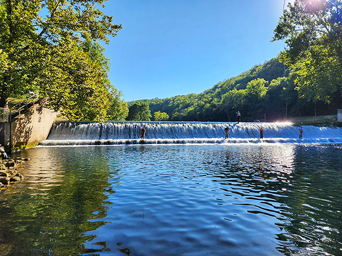 Anglers line up along Bennett Spring's dam like patient fishermen in a Norman Rockwell painting. The rushing water creates nature's perfect soundtrack.