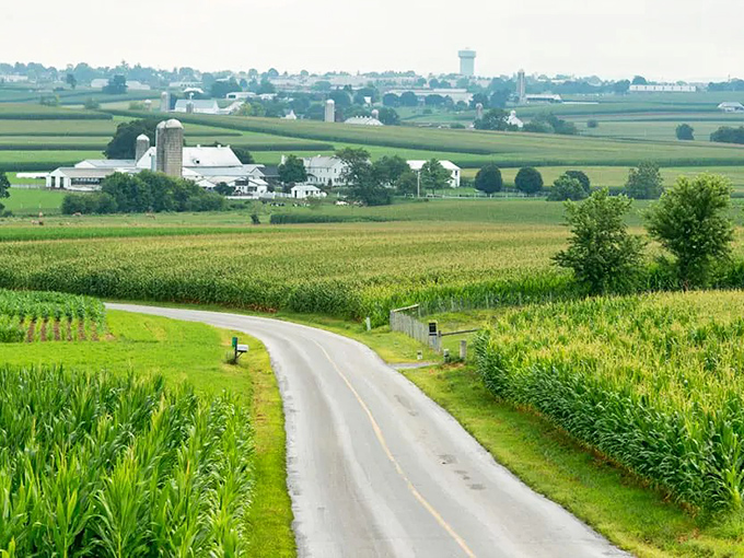 Country roads curve through farmland like nature's own scenic highway, inviting you to slow down and breathe.