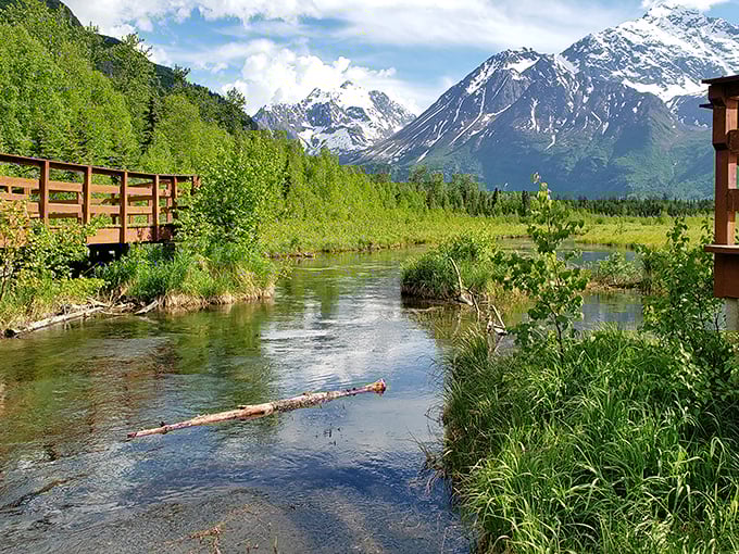 This wooden boardwalk isn't just a trail&mdash;it's your front-row ticket to Alaska's greatest mountain show, no expensive seats required!