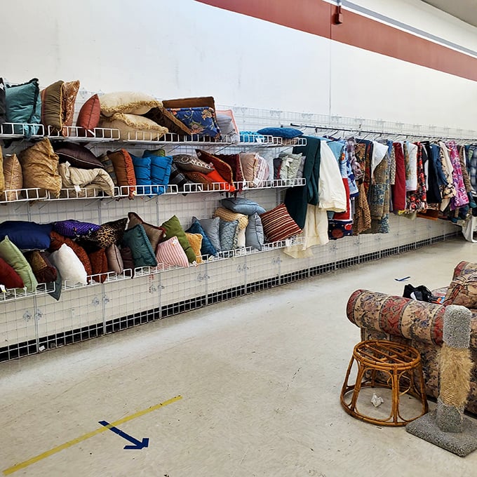 Pillow paradise! This cushion collection could outfit a thousand couches or start the world's softest pillow fight.