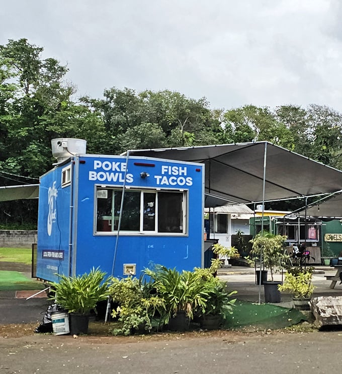 "Poke Bowls & Fish Tacos" isn't just a sign&mdash;it's a promise of island paradise served in a blue food truck oasis.