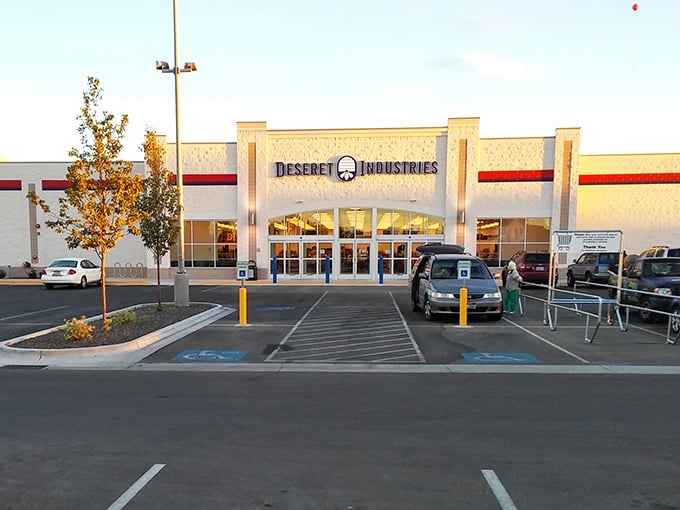 Like a suburban oasis for bargain hunters, this modern storefront promises organized aisles and endless possibilities inside.