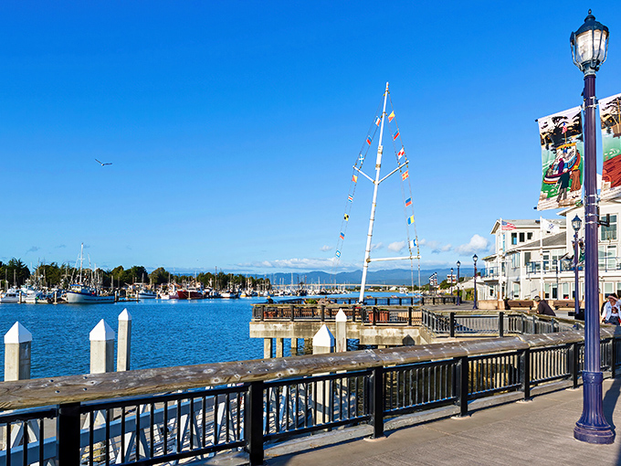 Stroll along Eureka's waterfront boardwalk where boats bob gently in the marina. Your Social Security check just started smiling!