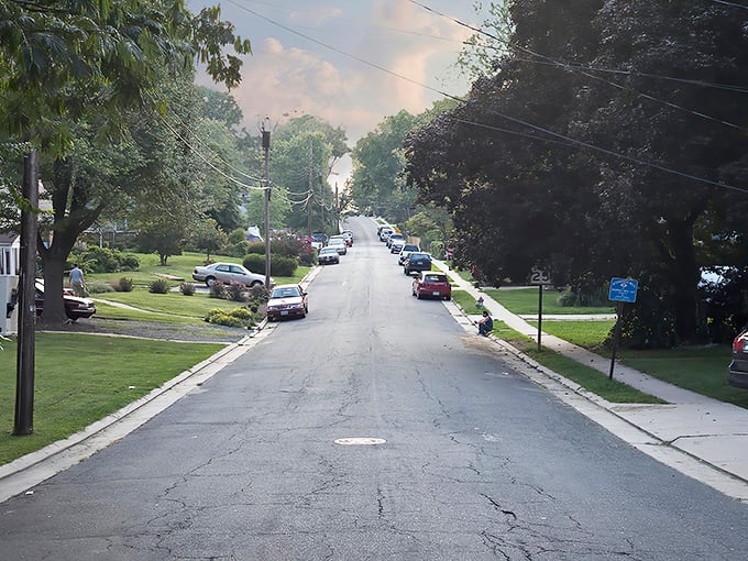 Tree-lined streets like this make every walk feel like a peaceful neighborhood stroll from yesteryear.