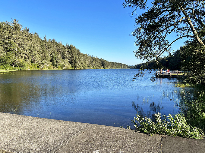 Reflections on Coffenbury Lake create nature's perfect mirror. Even the trees are checking their appearance!