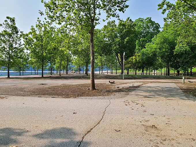 Shady trees frame the path to Green River Lake's peaceful waters, where time slows down and worries drift away.