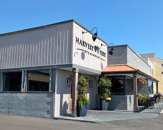 Bathed in sunlight, Harvest Tide's simple charm beckons meat lovers like a siren song for the carnivorous soul.