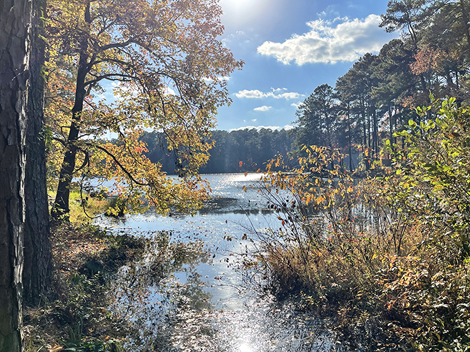 Fall's golden touch transforms Indian Springs into a painter's dream, with autumn colors reflecting perfectly in the still waters.