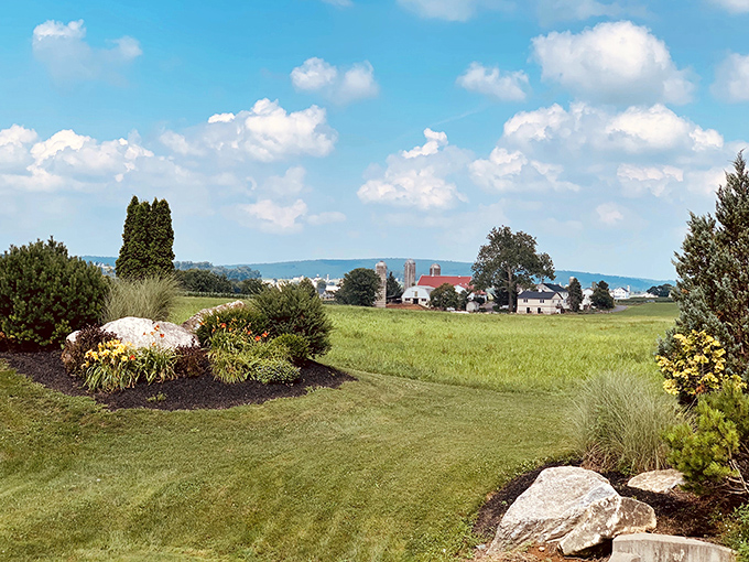 Green fields stretch endlessly, offering views that make your smartphone camera seem almost unnecessary.