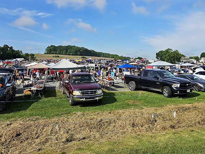 A sea of tents and tables stretches across the field at Jake's. Treasure hunting paradise under the Pennsylvania sky!