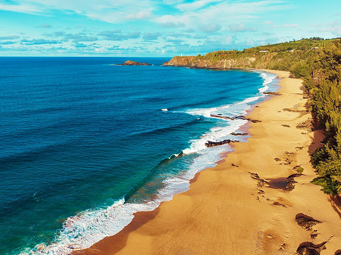 The sweeping coastline of Kauapea reveals why locals guard this secret. Azure waters meet golden shores beneath dramatic cliffs&mdash;Hawaii showing off without even trying.