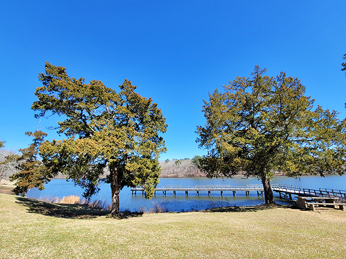 Lake Lowndes State Park: Two majestic trees standing guard over the lake like nature's own welcome committee. That pier practically begs for a fishing story!