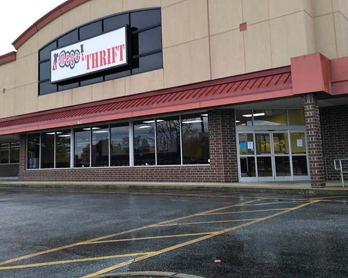Like a department store from the past, Mega Thrift's expansive exterior promises adventures in bargain hunting inside.