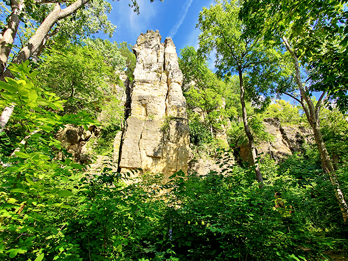 Limestone towers reaching for the sky, surrounded by a sea of green. Nature's skyscrapers don't need building permits!