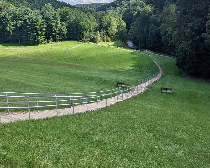 Wooden steps leading to adventure! This winding path at Mohican State Park practically begs you to skip down it.