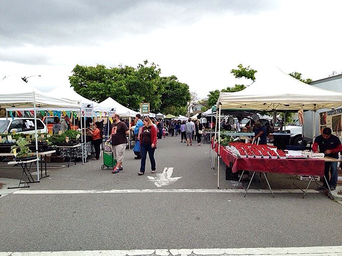 Shoppers stroll through a sea of white tents at Mountain View, where farm-fresh treasures await discovery.