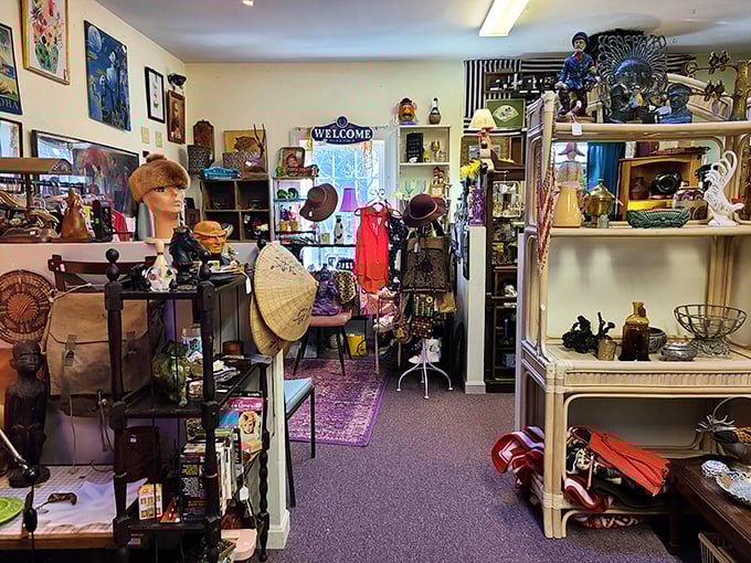 Step inside Nostalgia and prepare for sensory overload! Every shelf tells a story waiting to be continued in your home.