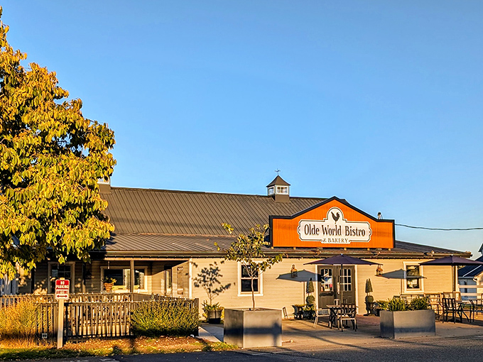 Bathed in golden sunlight, this charming bistro looks like the kind of place where calories don't count and dessert is mandatory.