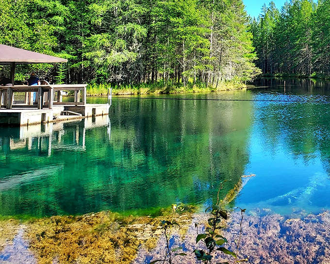 The observation raft at Palms Book State Park &ndash; where you can play captain while nature puts on a show beneath your feet.