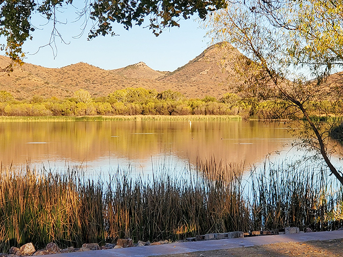 Golden hour transforms this tranquil lake into liquid amber, reflecting hills that glow like warm honey.