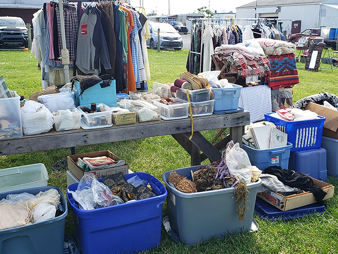 Outdoor vendors spread their wares across green grass, offering everything from clothing to collectibles under open skies.