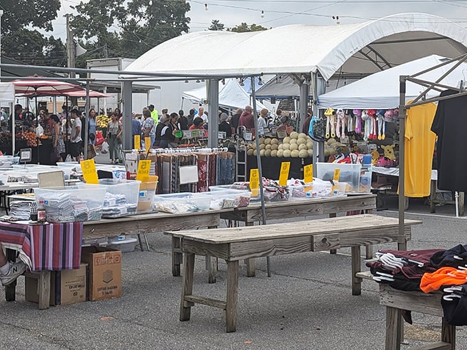 Treasure hunting under tents &ndash; where one person's castoffs become another's prized possessions at this bustling market.