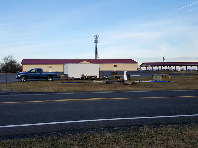 Step inside this treasure hunter's paradise where every aisle promises a new discovery around the corner.