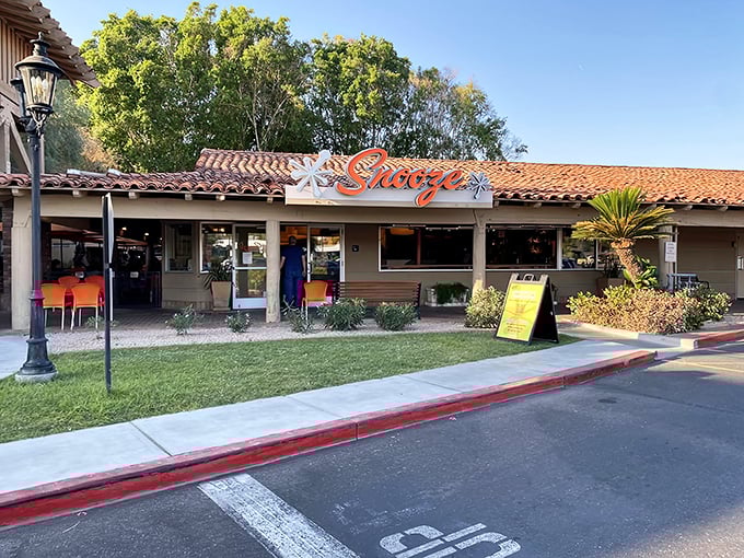 Palm trees and patio seating at Snooze &ndash; where breakfast dreams and Arizona sunshine create the perfect morning romance.