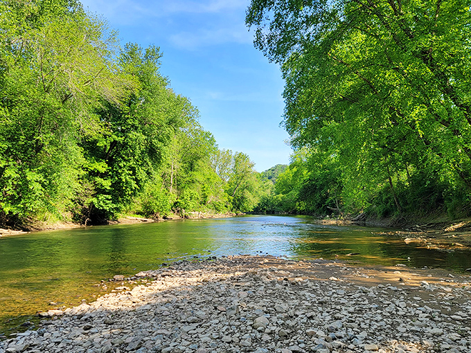 The Susquehanna River flows gently between tree-lined banks, creating a postcard-worthy scene that begs for a kayak.