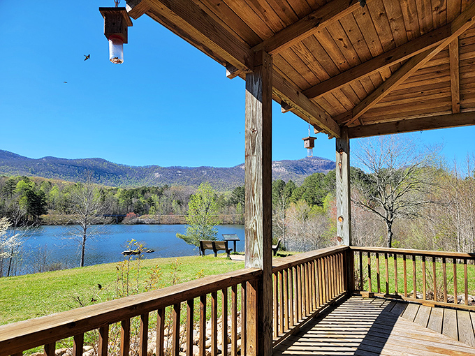 When your cabin porch overlooks paradise, suddenly checking emails seems completely ridiculous and unnecessary.