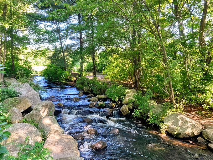 Mother Nature's spa treatment: a babbling brook that provides the kind of soundtrack you'd pay good money for on a meditation app.