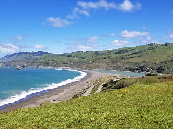 Rolling green hills embrace a crescent beach like they're sharing secrets with the sea. California coastal magic at its finest.