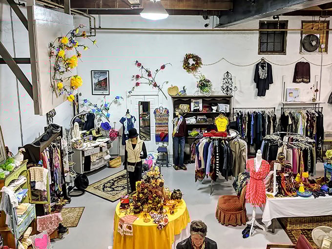 Treasure hunting paradise! This artfully arranged space transforms secondhand shopping into a delightful adventure through carefully curated collections.