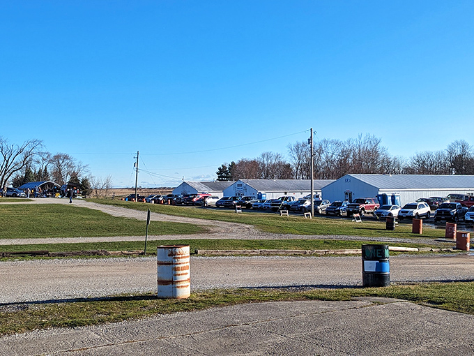 A treasure hunter's paradise awaits! White buildings stretch across the horizon at Uncle John's Flea Market, where bargain-filled adventures begin under perfect Indiana blue skies.