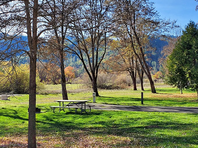 Picnic perfection awaits! These riverside tables offer front-row seats to Oregon's most spectacular seasonal color show.