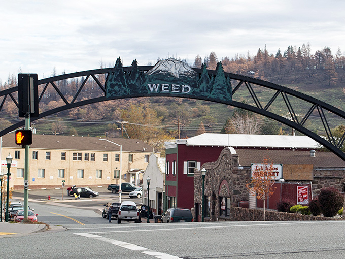 Welcome to Weed, where the name might raise eyebrows but the mountain views will steal your heart.