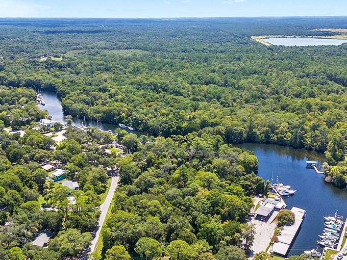 From this bird's-eye view, the Withlacoochee River looks like nature's blue highway system through an emerald neighborhood.