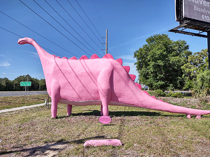 The dinosaur's smooth concrete surface has weathered decades of Florida sunshine, yet maintains its cheerful pink complexion like a tropical flamingo.