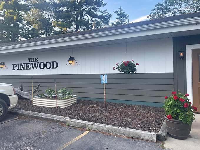 Arriving at the Pinewood feels like discovering a hidden treasure map where X marks the spot for legendary steaks.