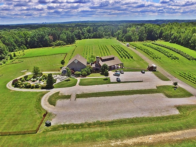 From above, Sarah's Vineyard unfolds like a patchwork quilt of green ambition, each row telling a story in vines.